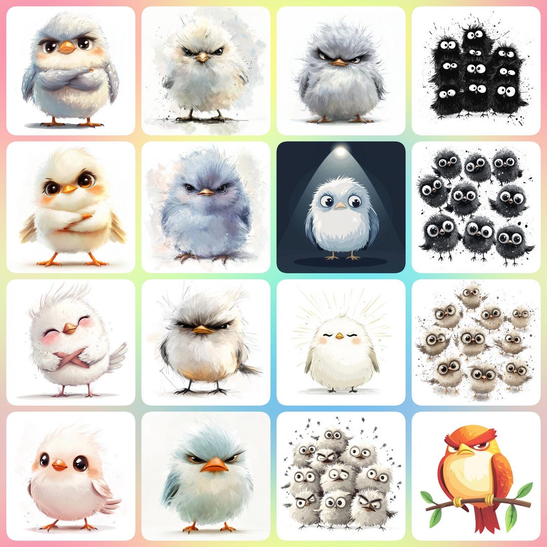 36 Grumpy Birds Clipart, Cute Fluffy Birds, Digital Clipart, Watercolor ...