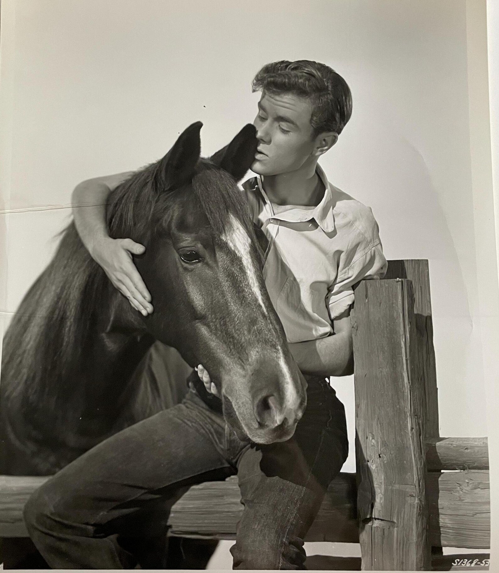 Gallant Bess (1946) Vintage MGM Movie Photo Marshall Thompson Snuggles ...