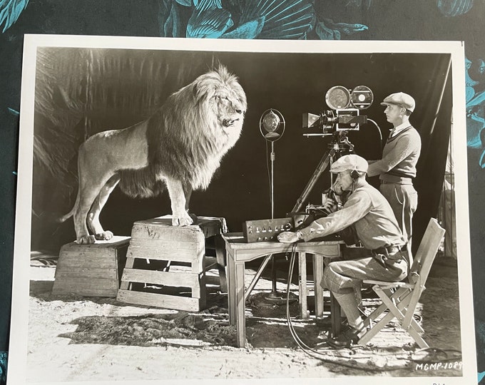 MGM Leo the Lion Recording Famous Roar Vintage Metro Goldwyn Mayer ...