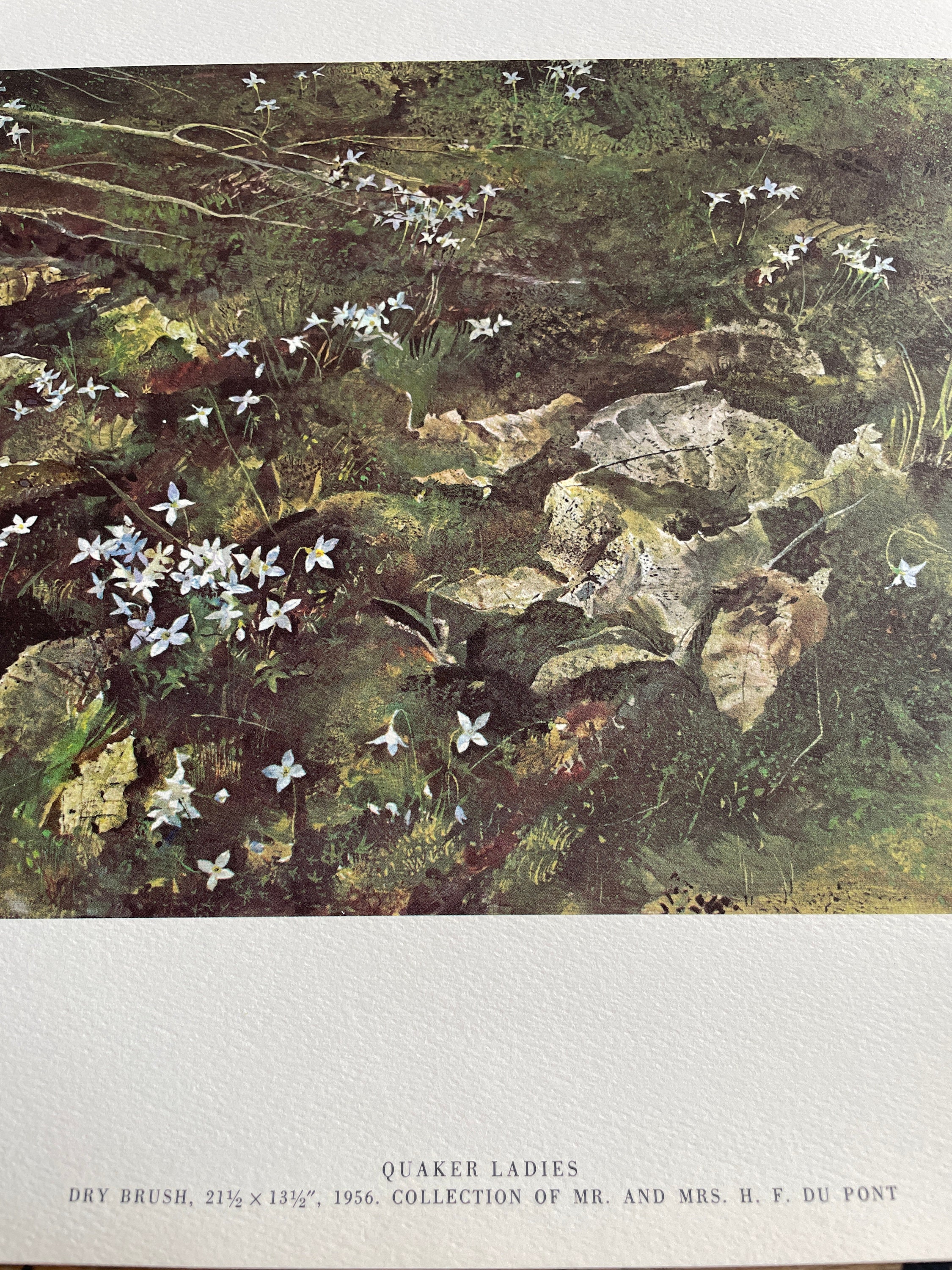 Andrew Wyeth Quaker Ladies Vintage 1962 Print 13.25 X 17 Lithograph on ...