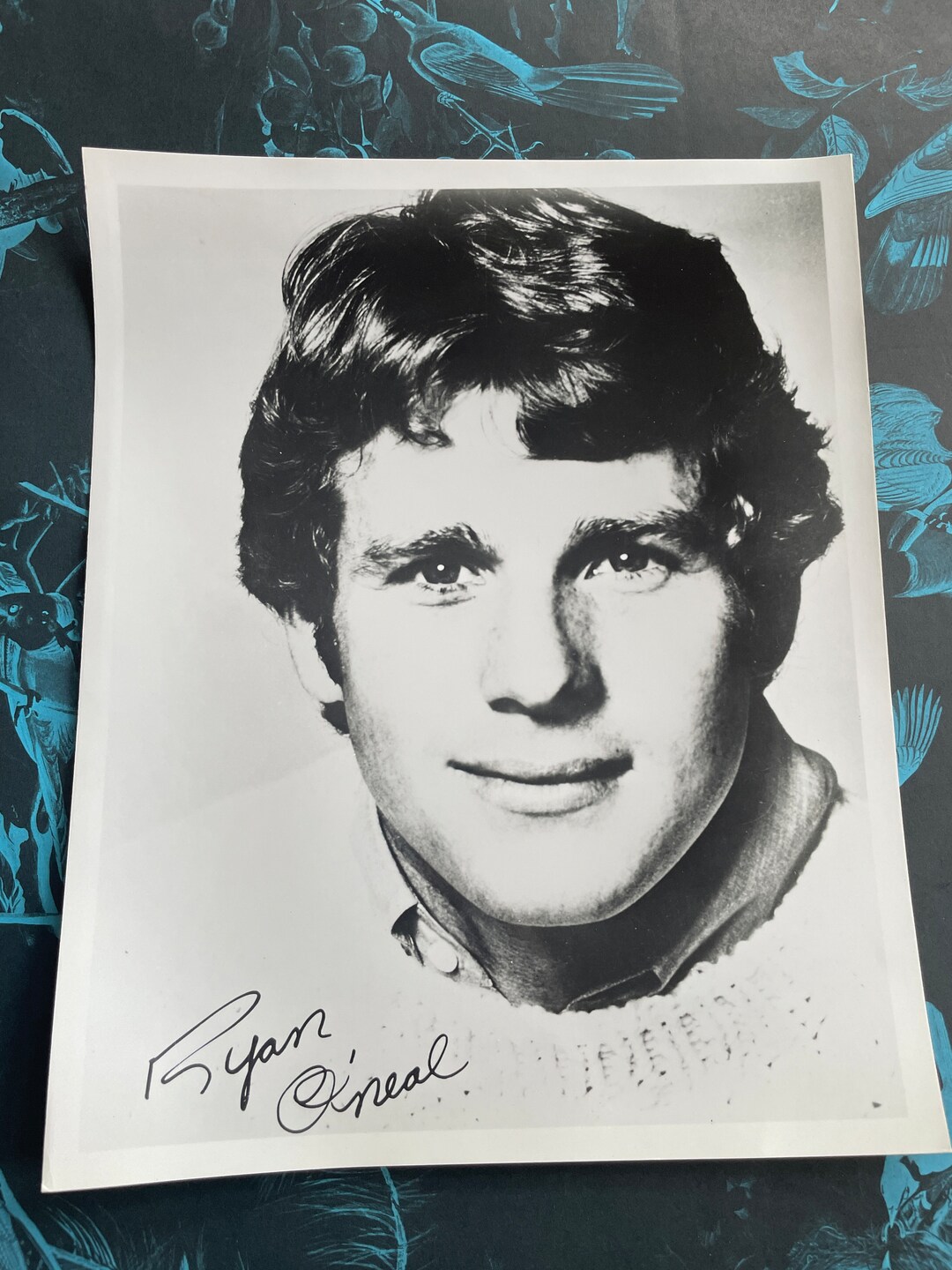 Vintage Photo of Ryan O'neal C 1970 Movie Actor 8x10 Signed Publicity ...