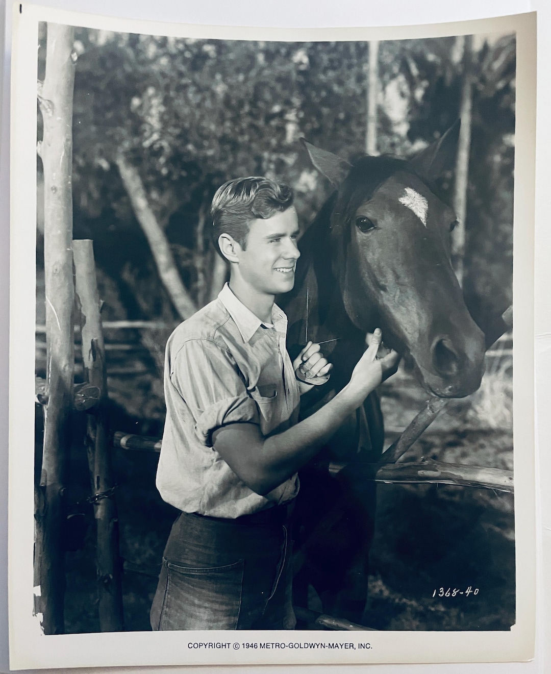 Gallant Bess (1946) Vintage MGM Movie Photo Smiling Marshall Thompson ...