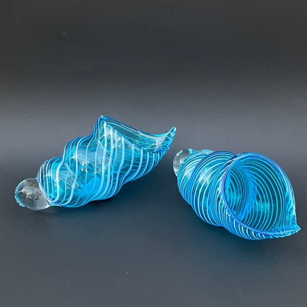 Turquoise Seashell - Etsy