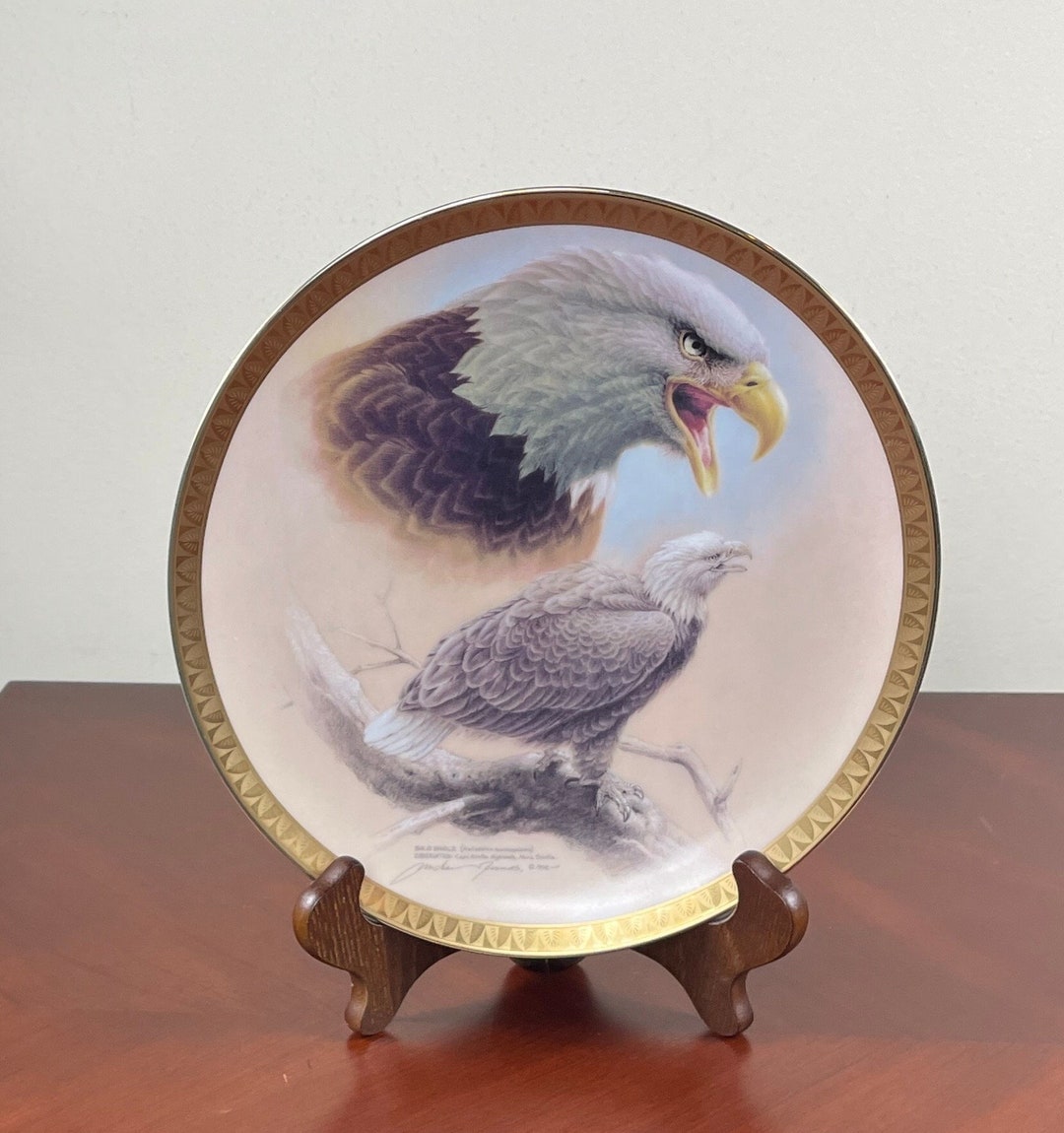 Bald Eagle, Vintage Collectible Plate, Bald Eagle Collectors Plate, Man ...