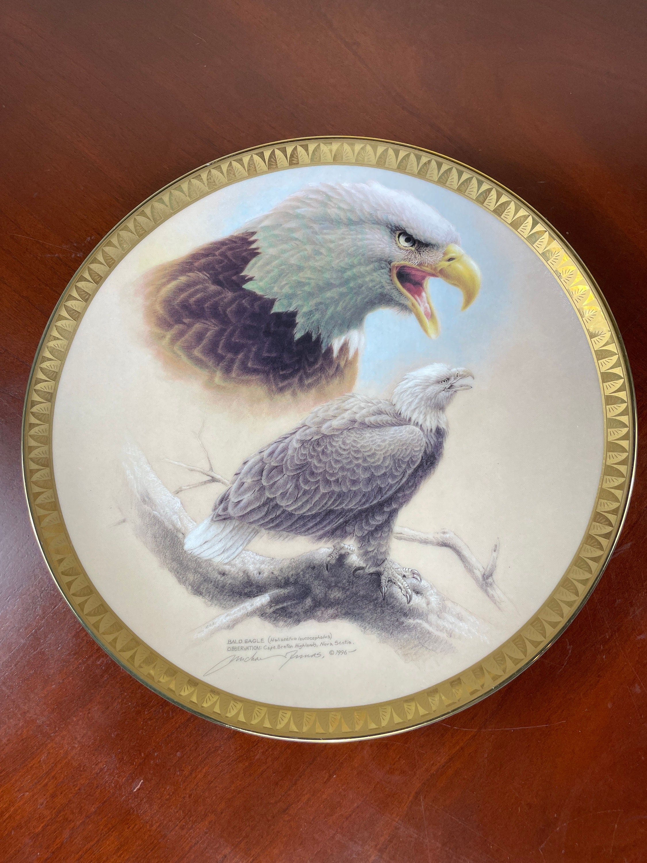 Bald Eagle, Vintage Collectible Plate, Bald Eagle Collectors Plate, Man ...