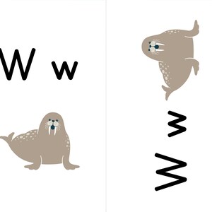 Letter of the Week Pack - Letter W | Wally Walrus | Letter Books | ABC ...