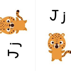 Letter of the Week Pack - Letter J | Joey Jaguar | Letter Books | ABC ...