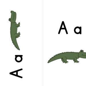 Letter of the Week Pack - Letter A | Adam Alligator | Letter Books ...