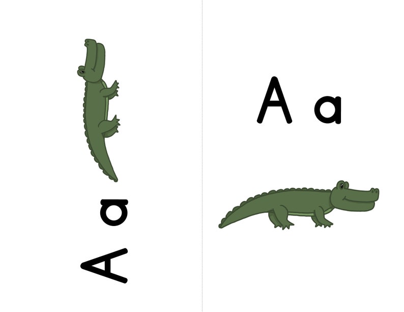 Letter of the Week Pack - Letter A | Adam Alligator | Letter Books ...