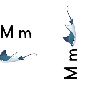 Letter of the Week Pack - Letter M | Mikey Manta Ray | Letter Books ...