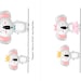 Letter of the Week Pack - Letter K | Kobe Koala | Letter Books | ABC ...