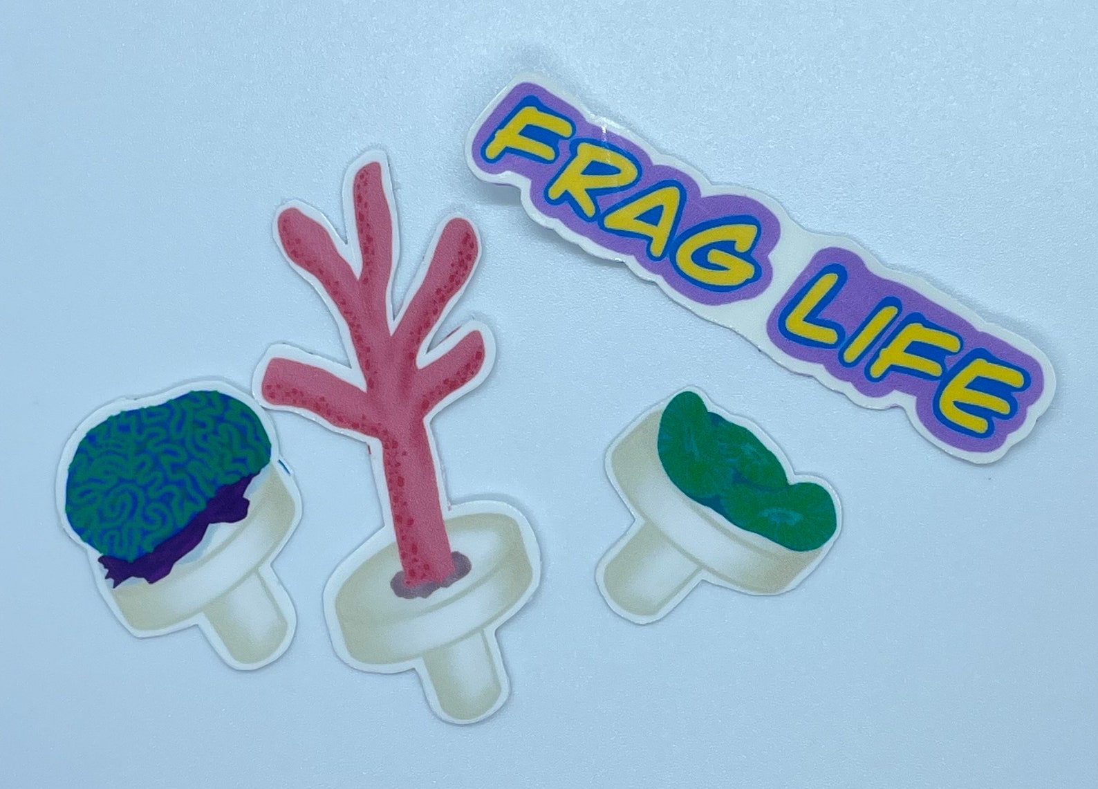 Frag Life Coral Sticker Pack (4 Stickers) - Etsy