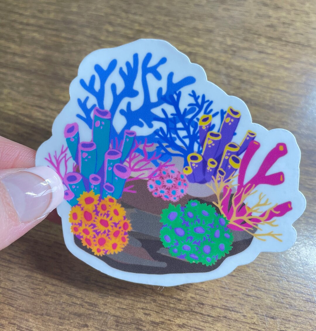 Reef Rock Sticker - Etsy