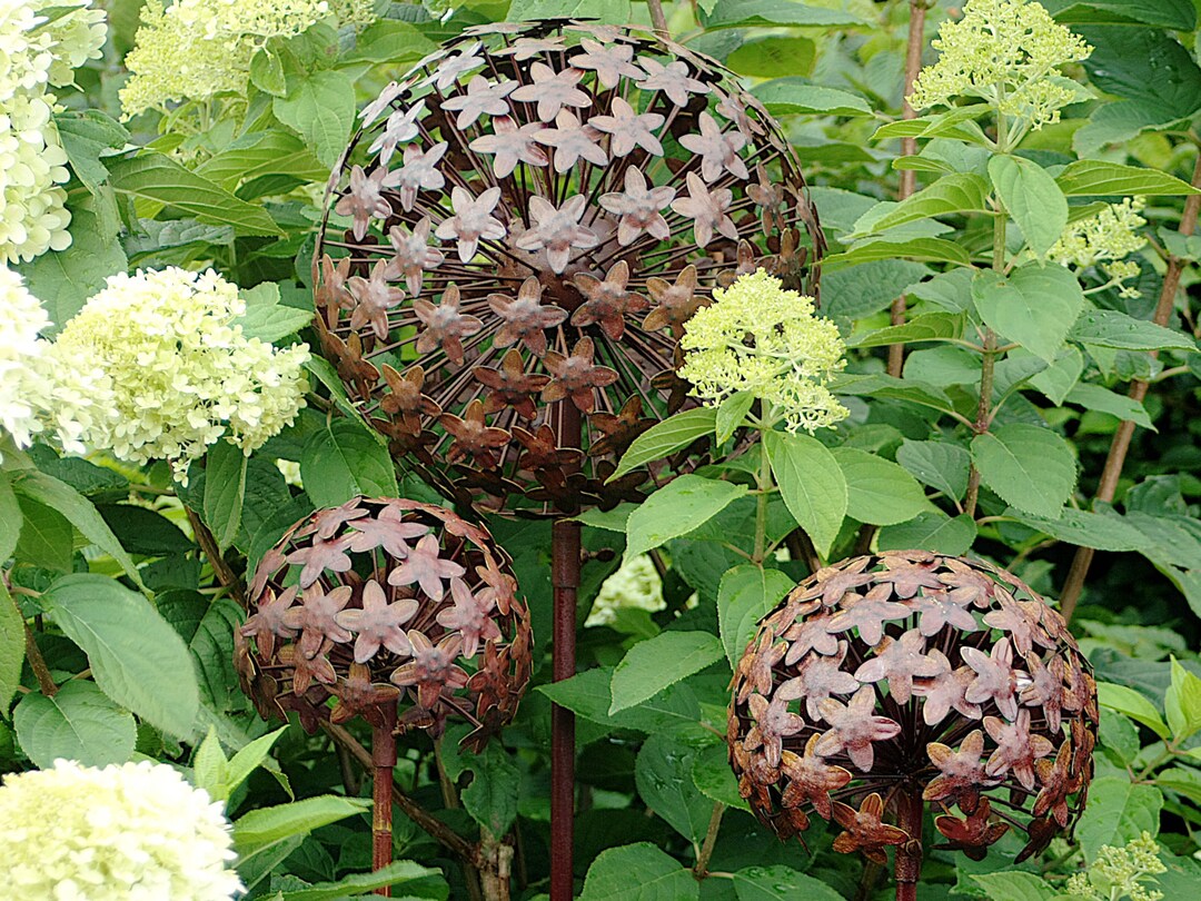 Allium Plant Plugs 3 Sizes Bed Plugs Garden Stakes Garden Decoration ...
