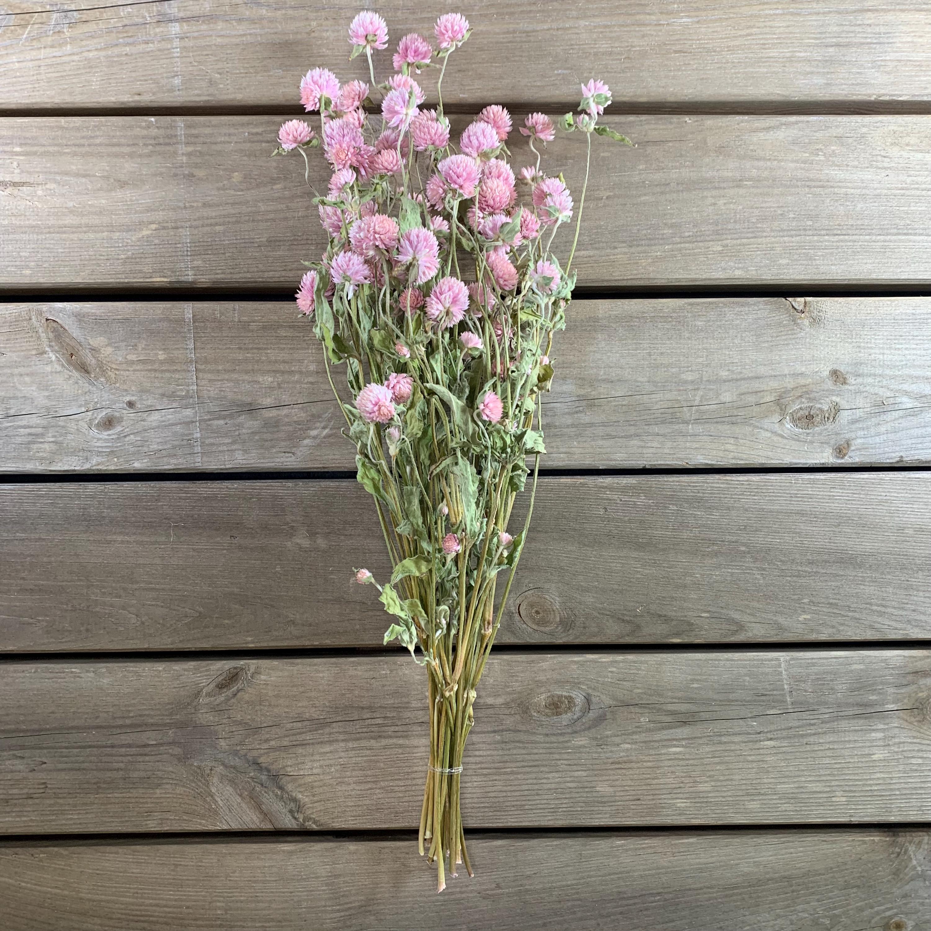 Naturally Air-dried Everlasting Flower Bouquet, Dried Gomphrena Bunch ...