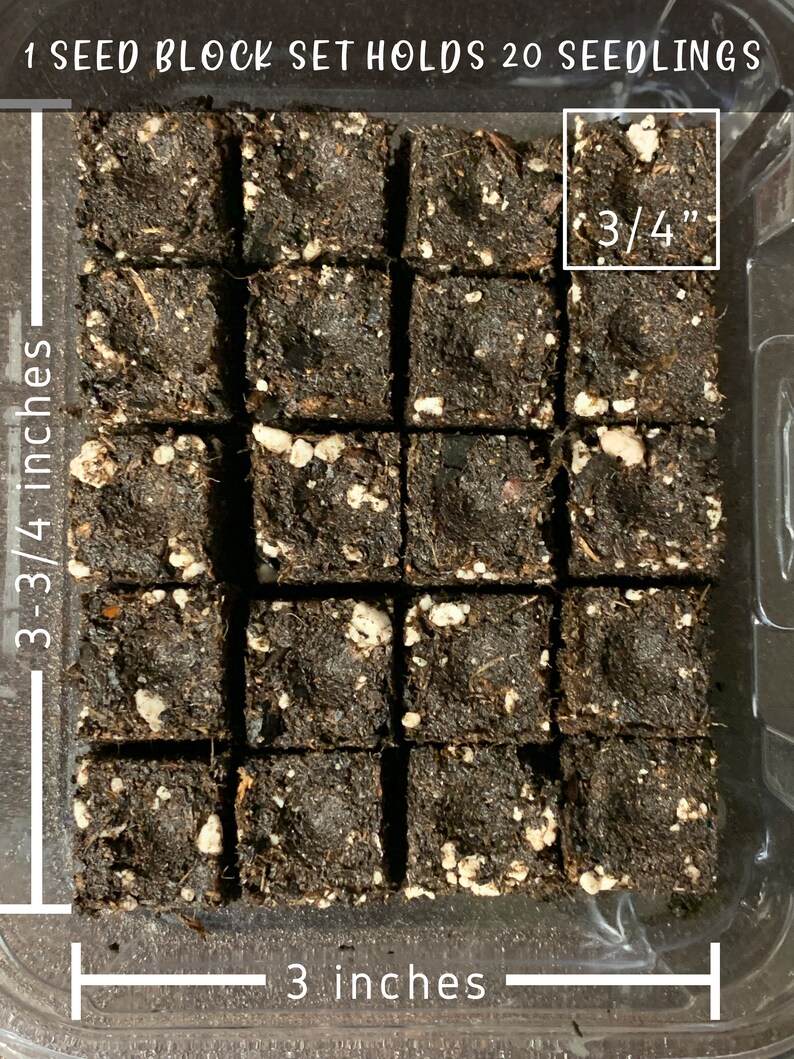 Seed Starter Blocks for Starting 20 Seeds - Etsy