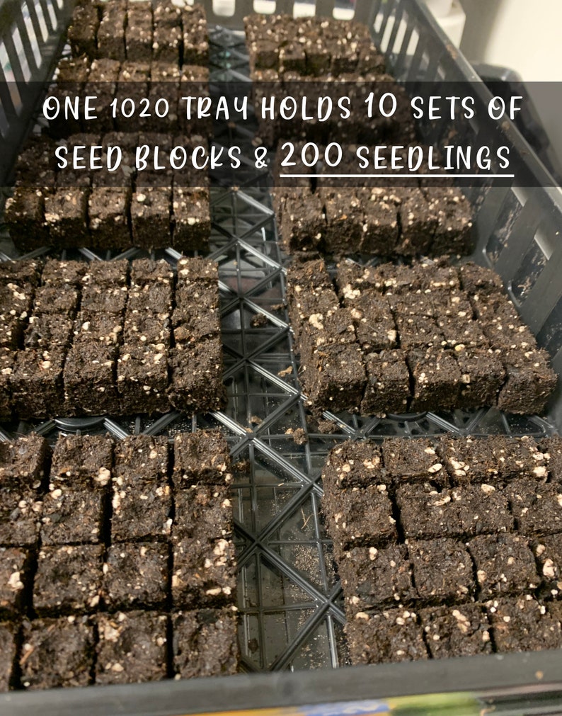 Seed Starter Blocks for Starting 20 Seeds - Etsy