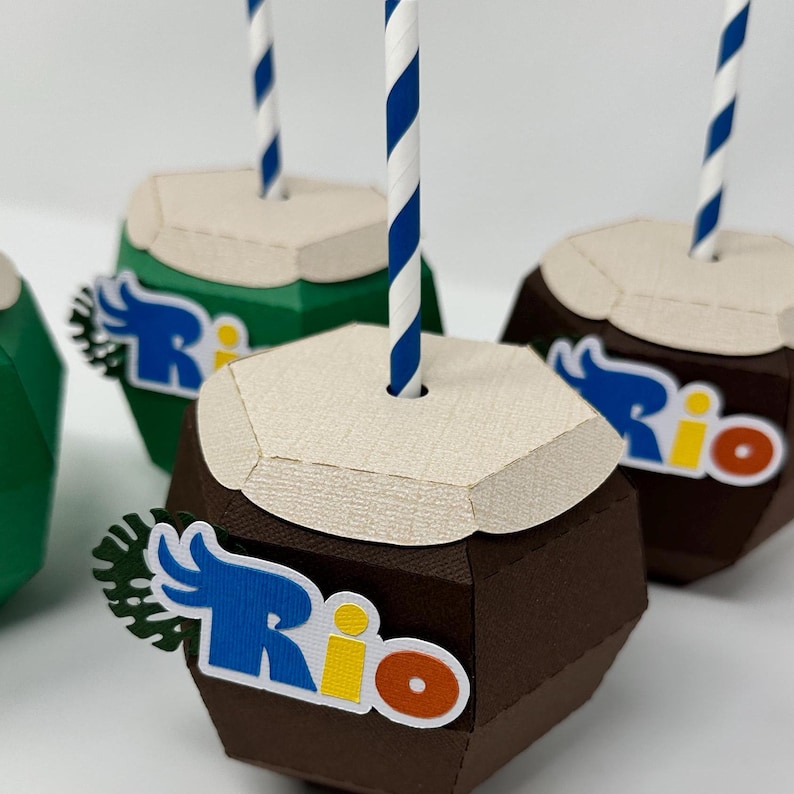 Personalized Coconut Candy Box: Rio Movie Hawaiian Birthday Party Favor ...