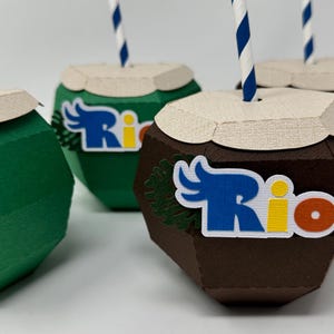 Personalized Coconut Candy Box: Rio Movie Hawaiian Birthday Party Favor ...