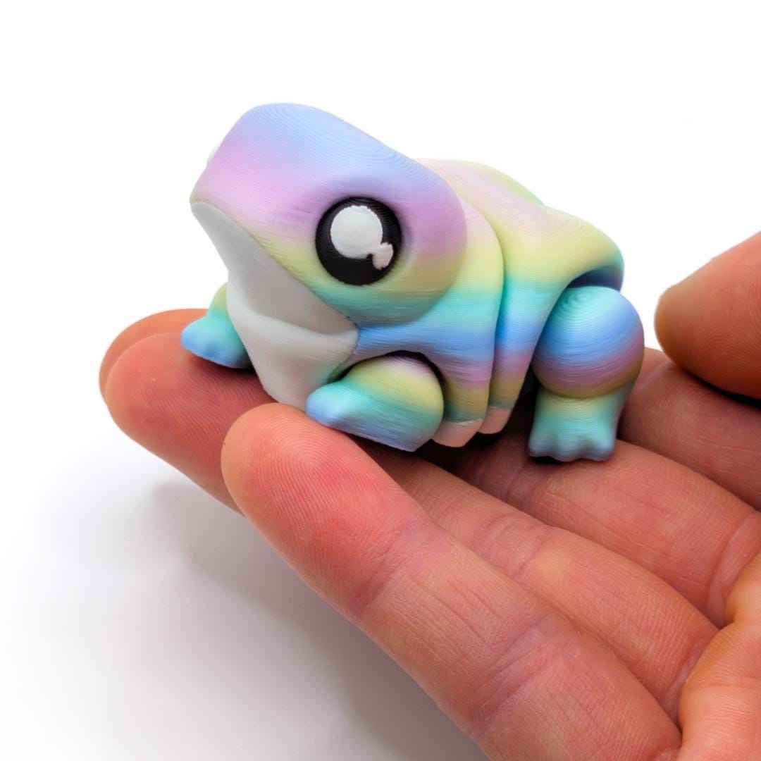 Chonky Fidget Frog -> Pastel Rainbow | 3D Printed Articulating Flexi Fidget - Etsy