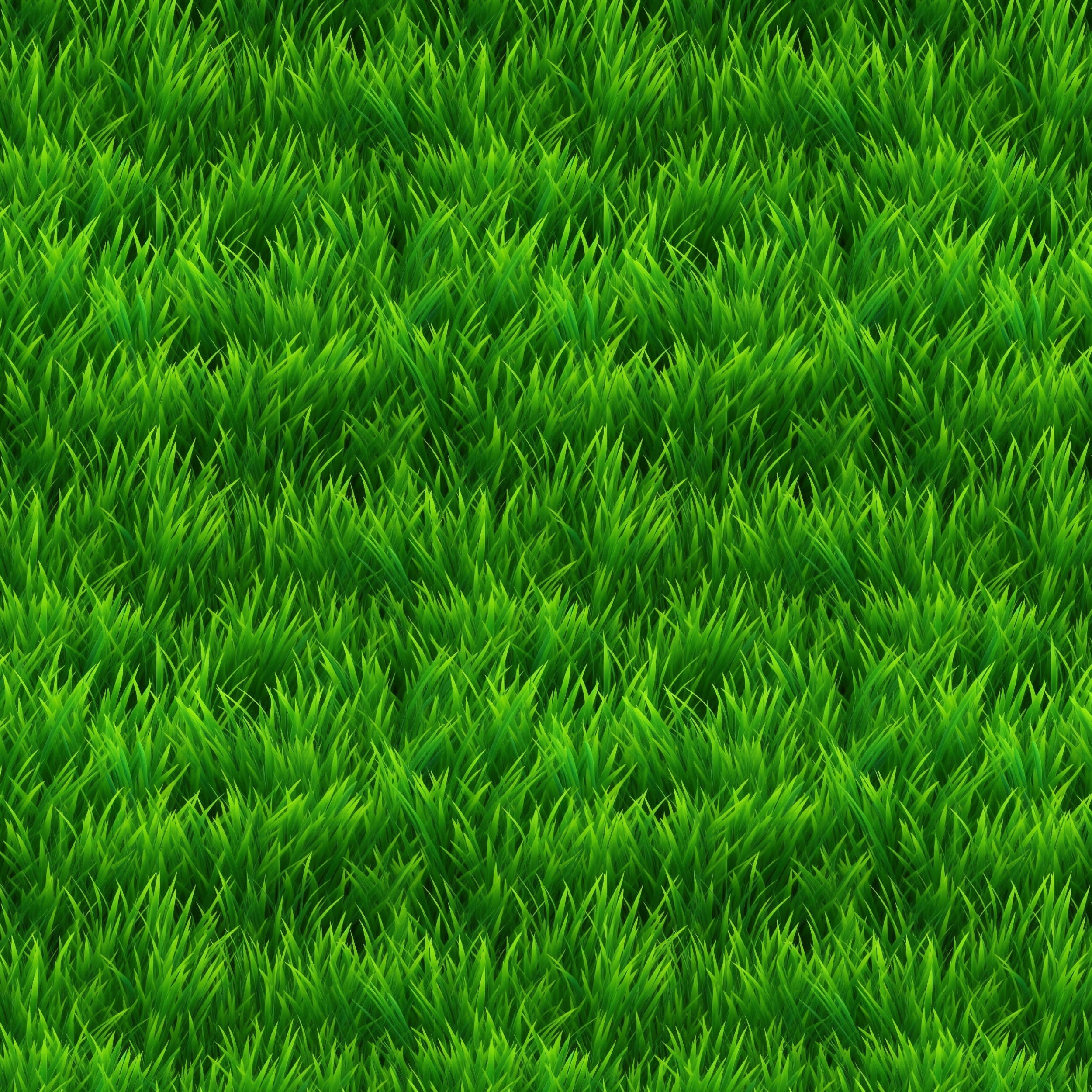 Seamless Digital Paper, Green Grass, Summer Lawn, 3 Variations HIGH ...