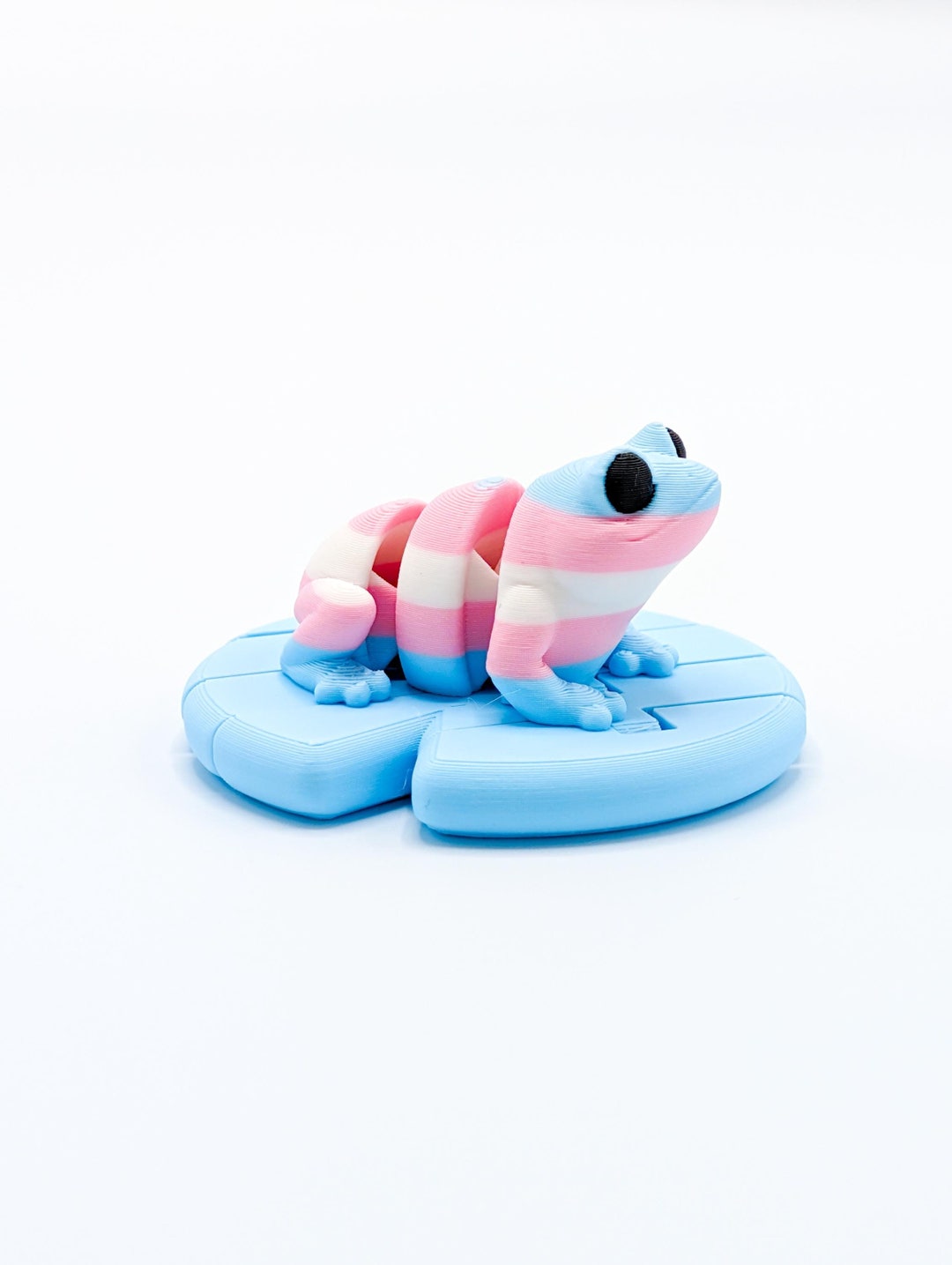 Trans fidget Frog Matching Lily Pad PRIDE Rainbow, Desk - Etsy