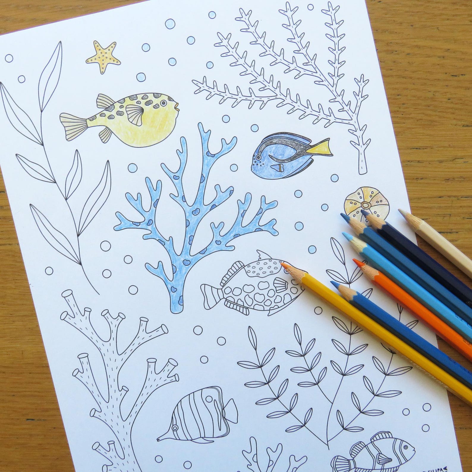 Tropical Fish Coloring Page A4, Animal Coloring Page, Print and Color ...