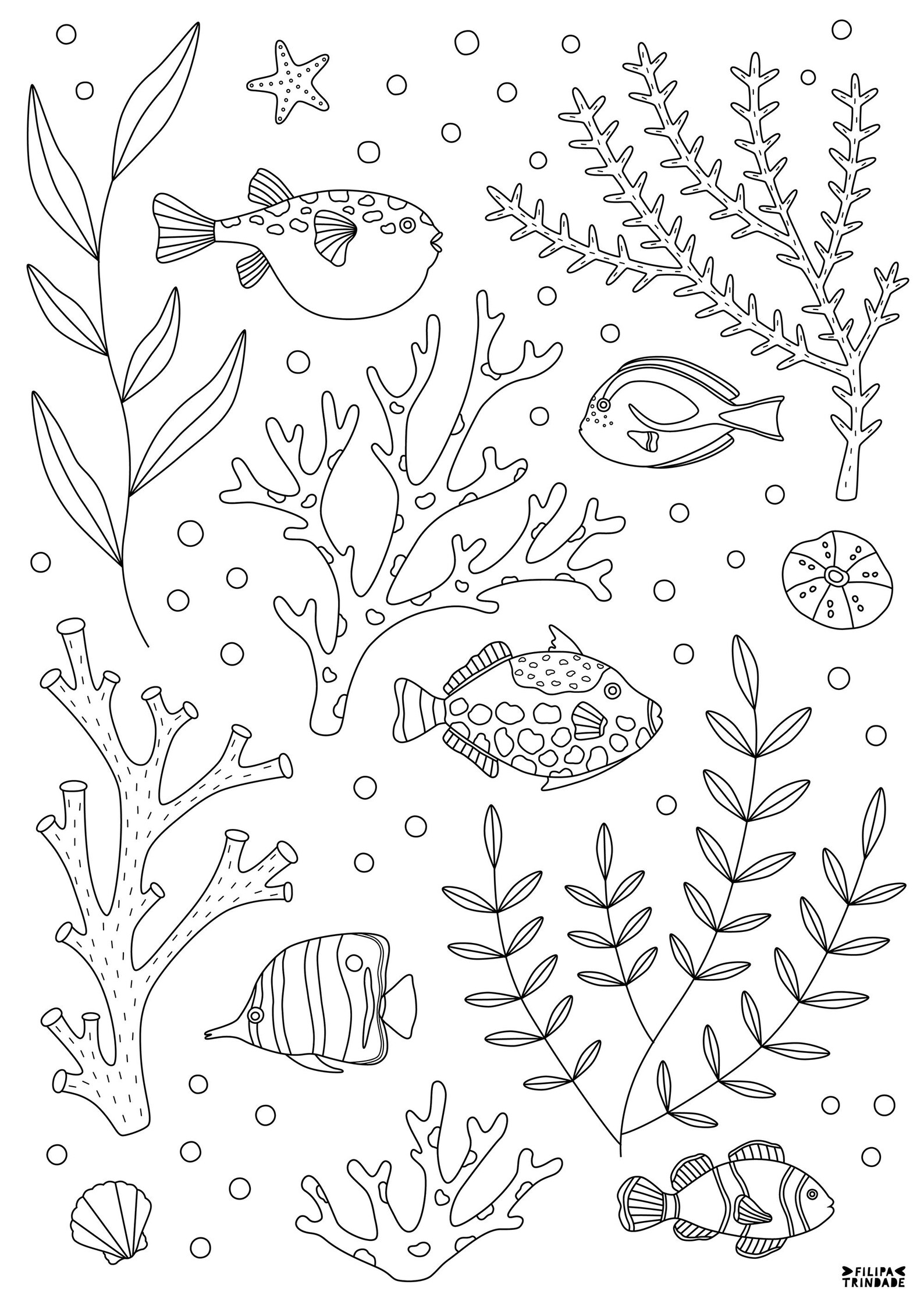 Tropical Fish Coloring Page A4, Animal Coloring Page, Print and Color ...