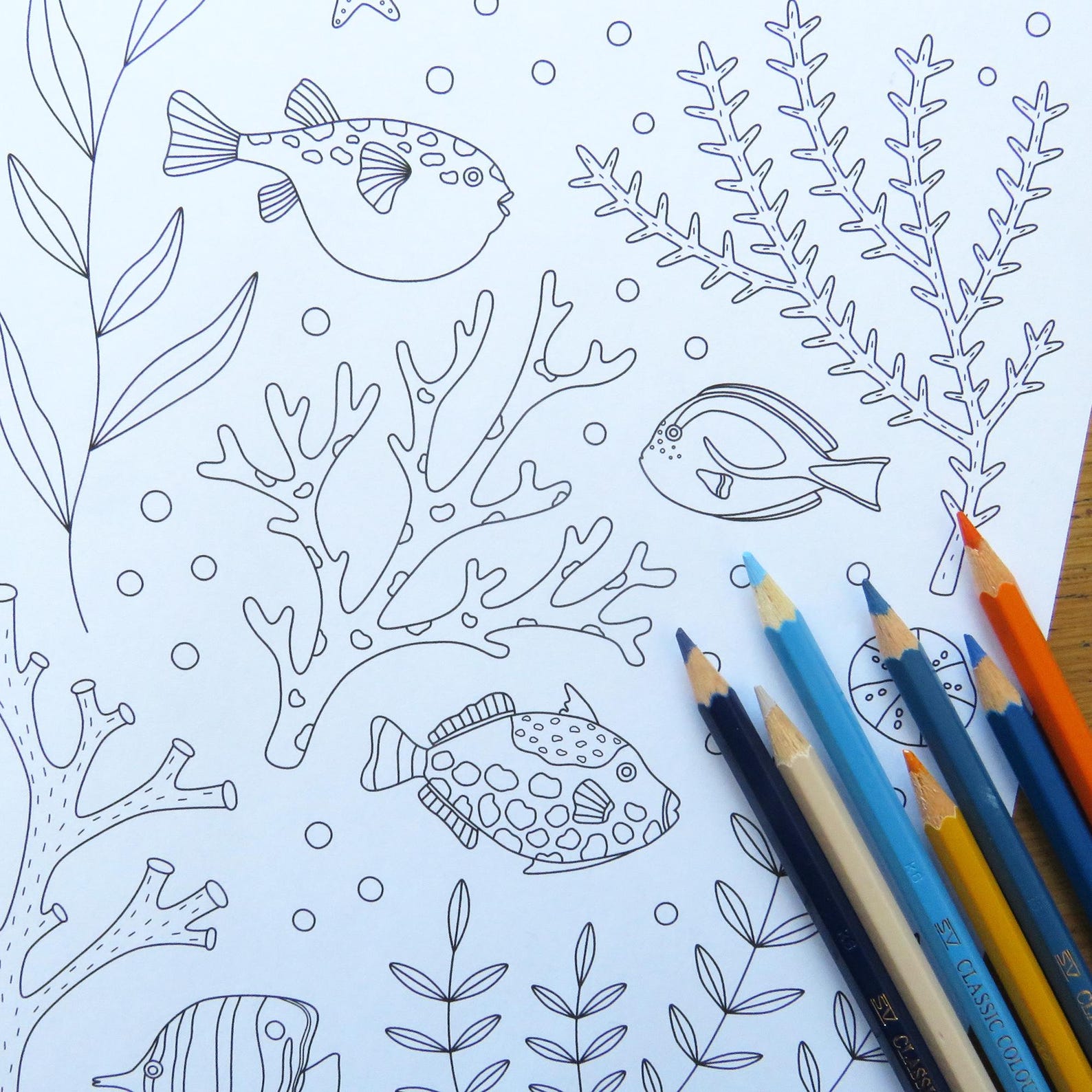 Tropical Fish Coloring Page A4, Animal Coloring Page, Print and Color ...