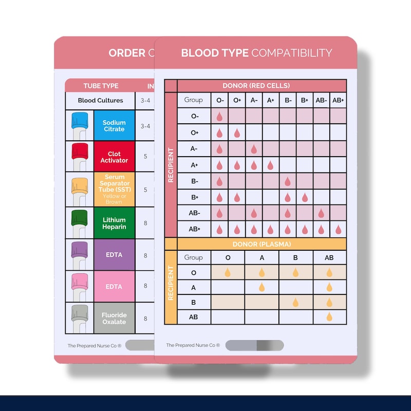 B and a Blood Type Kid - Etsy Canada