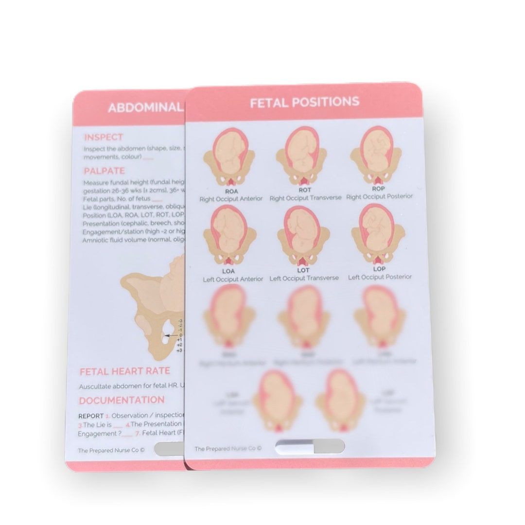 Abdominal Examination & Fetal Positions Midwifery Reference Card, Badge ...