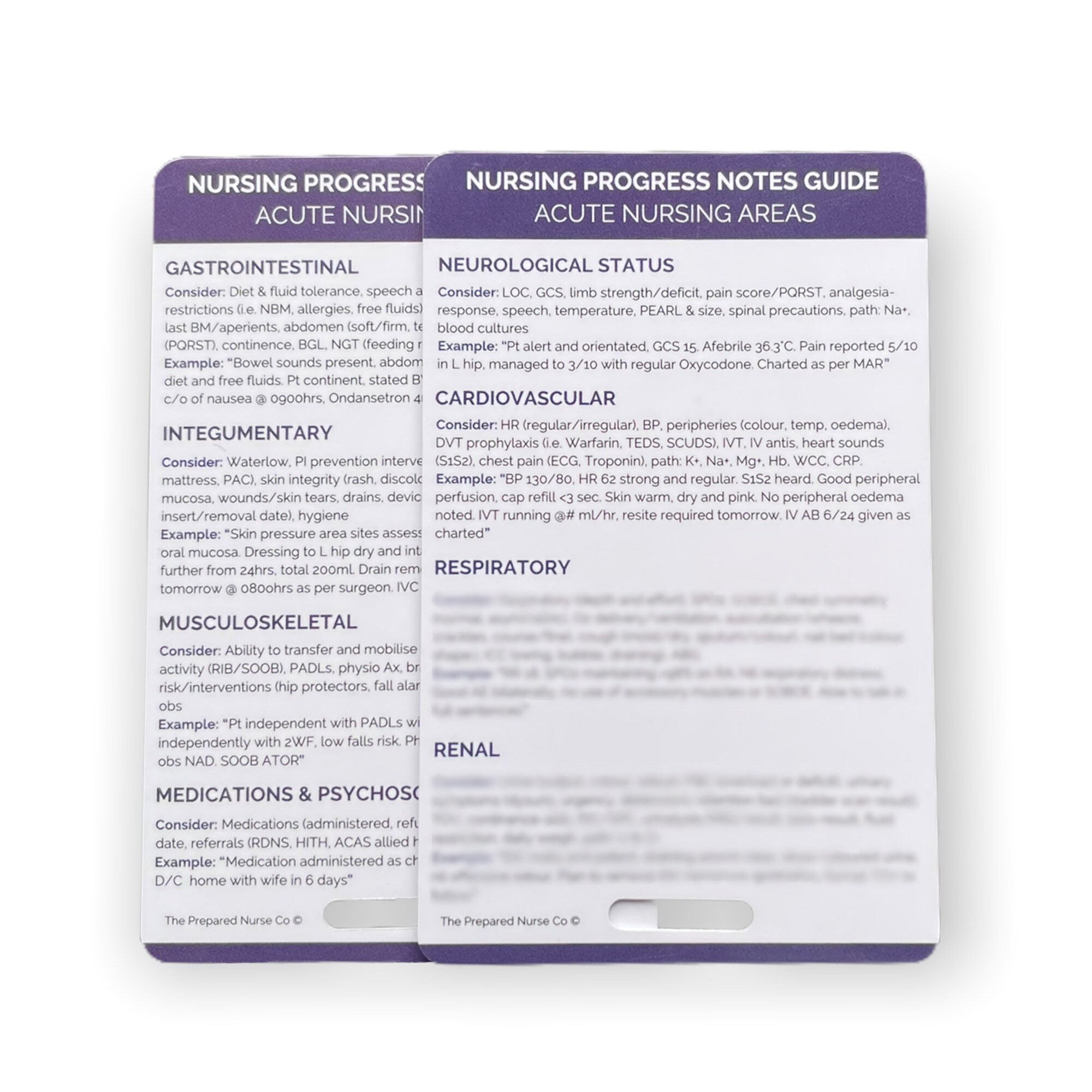 Nursing Progress Notes Guide Nursing Reference Card Badge Etsy Australia