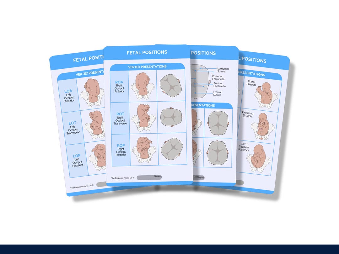 Fetal Positions, Fetal Lie, Midwifery Reference Card, Midwifery Badge ...