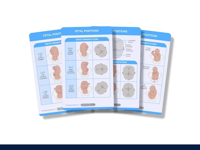 Fetal Positions, Fetal Lie, Midwifery Reference Card, Midwifery Badge ...