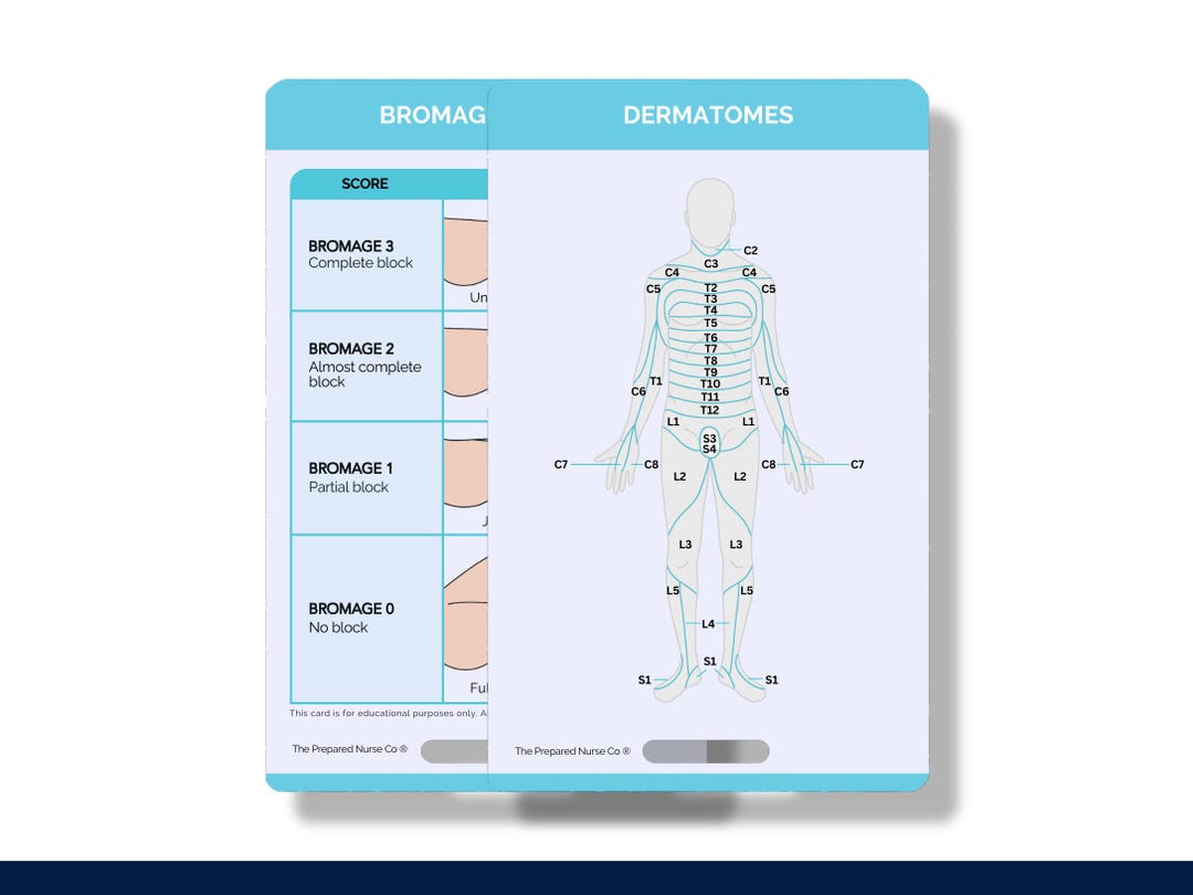 Dermatomes Reference Card, Dermatomes Chart, Bromage Score, Neuro Badge ...