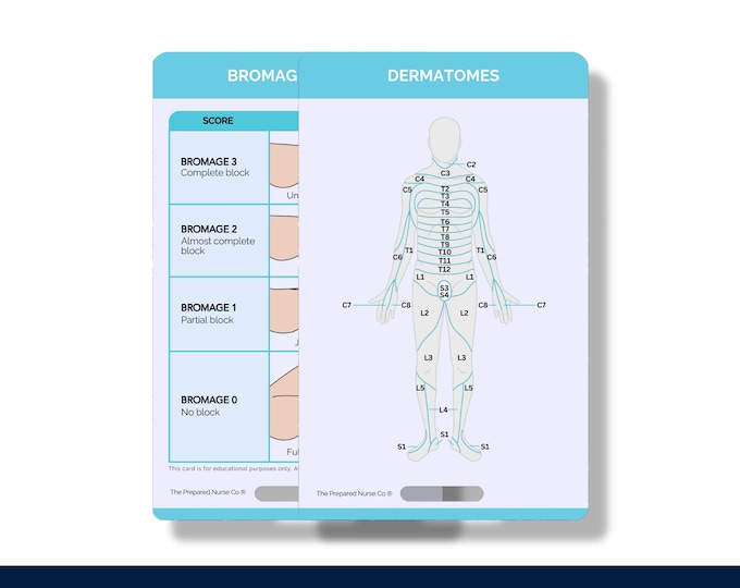 Dermatome Badge Pocket Card Vertical for Nurse Paramedic EMT for ID ...