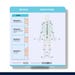Dermatomes Reference Card, Dermatomes Chart, Bromage Score, Neuro Badge ...