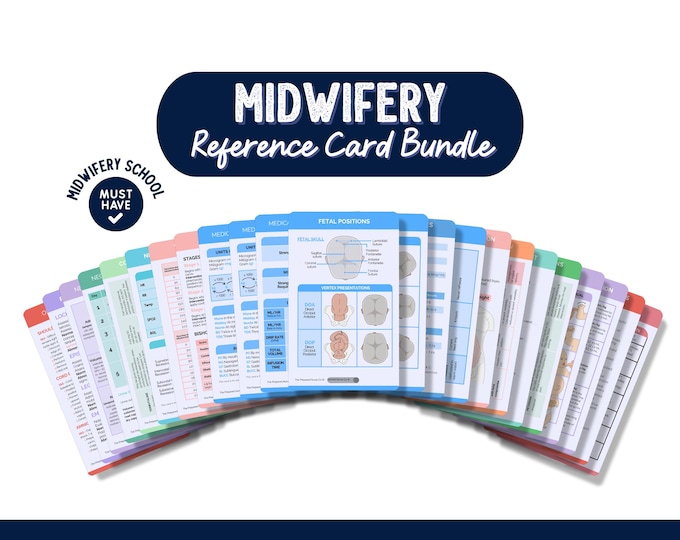 Midwifery Anatomy Flashcards - Etsy UK