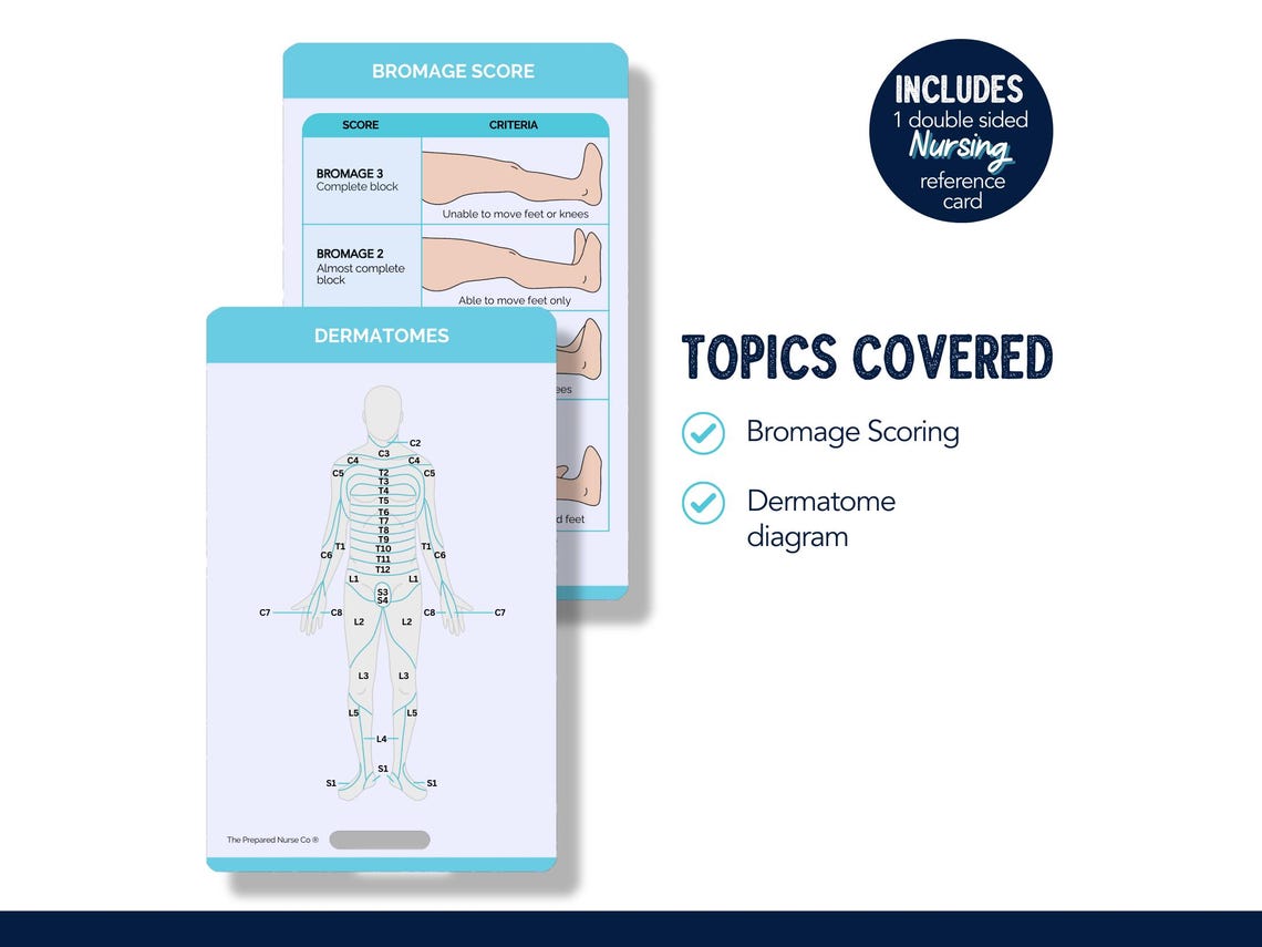 Dermatomes Reference Card, Dermatomes Chart, Bromage Score, Neuro Badge ...