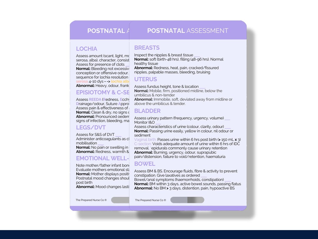 Postnatal Assessment, Midwife Reference Card, BUBBLEHE, Postpartum ...