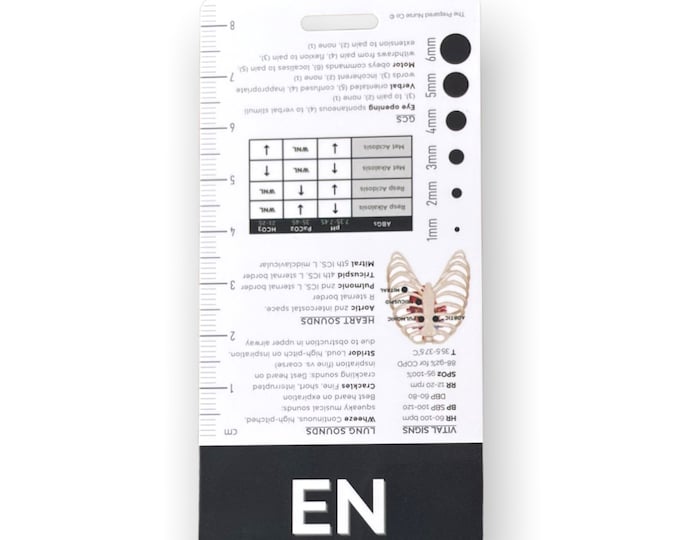 Adult Vital Signs Badge Pocket Card Vertical for Nurse Paramedic EMT ...