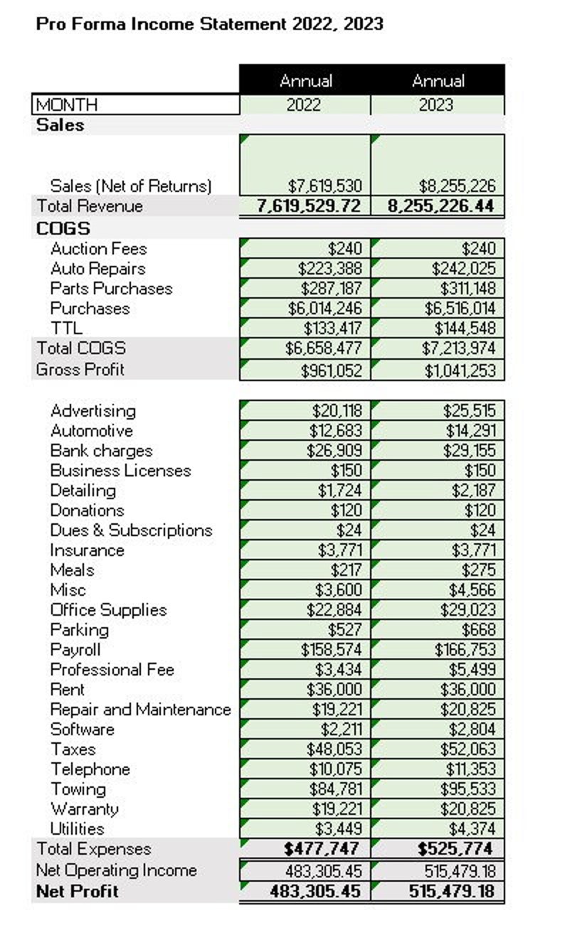 Pro Forma Income Statement - Excel - Etsy