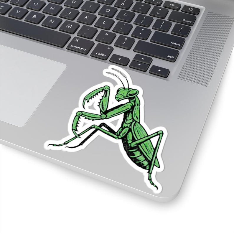 Green Praying Mantis Sticker | Kiss-cut Vinyl Sticker - Etsy