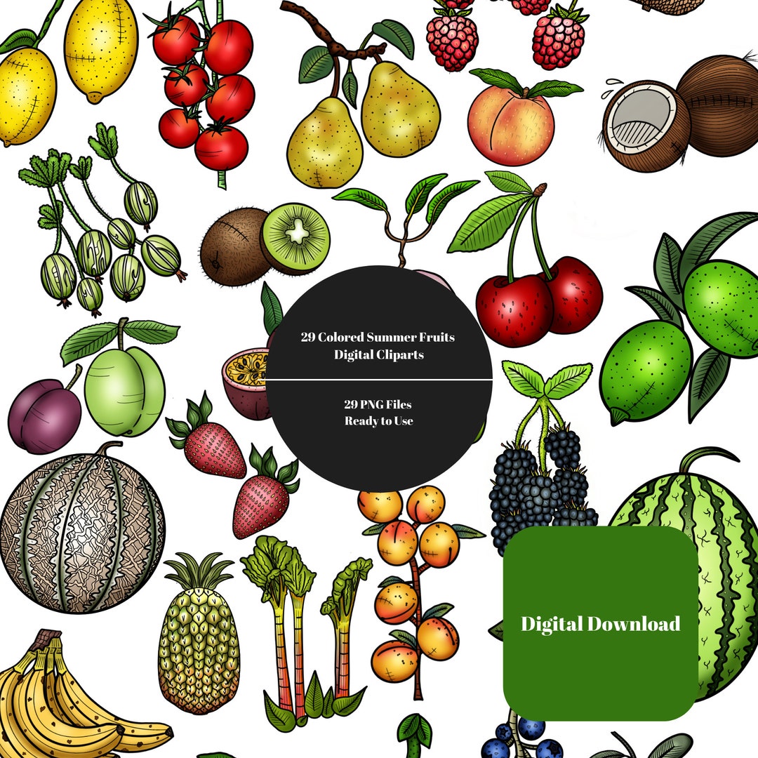29PNG Summer Fruits Clipart Summer Clipart Fruit Clipart Tropical ...