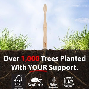 Sea Turtle Plant-based Bristles Bamboo Toothbrush - Pack of 4 - Soft ...