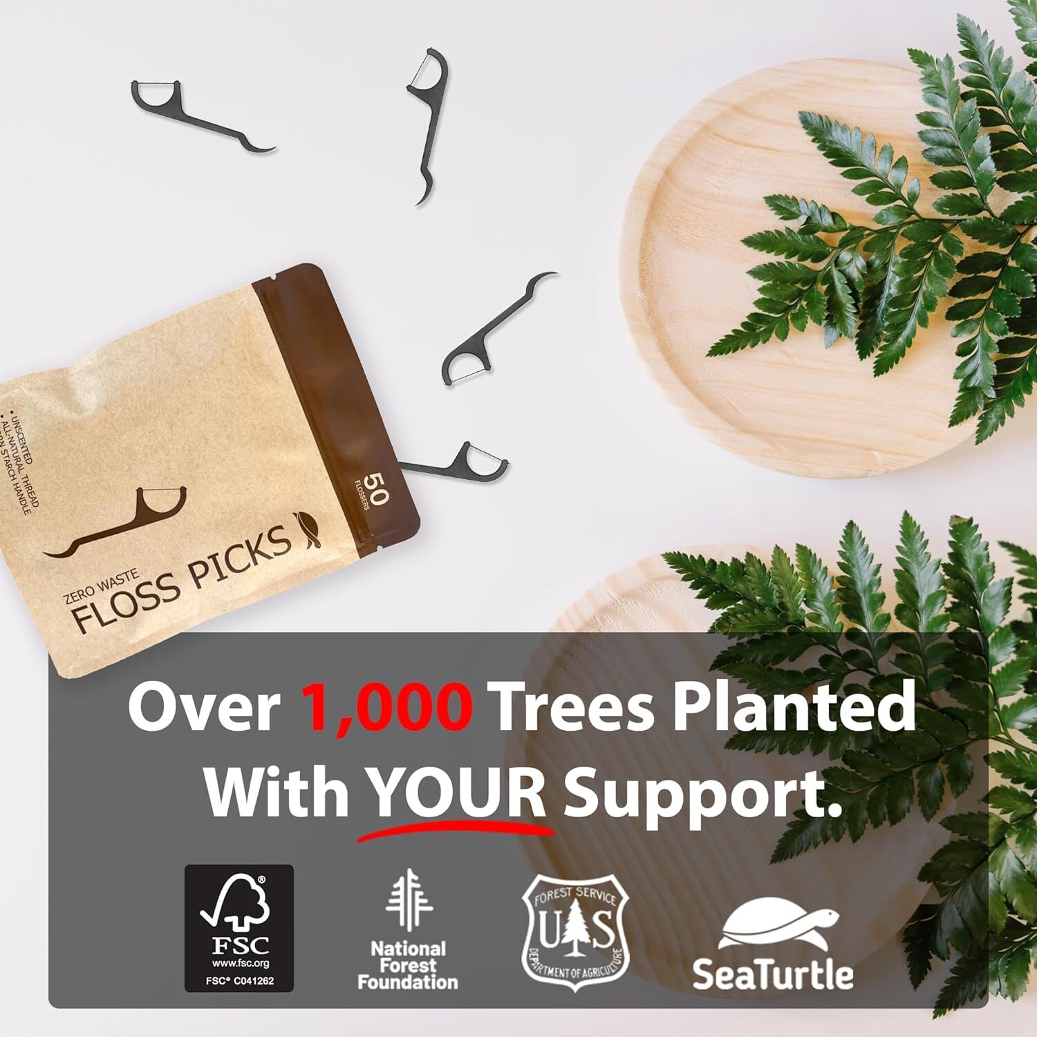 Sea Turtle Dental Floss Picks 200 Pack Unflavored Corn Starch Handle ...