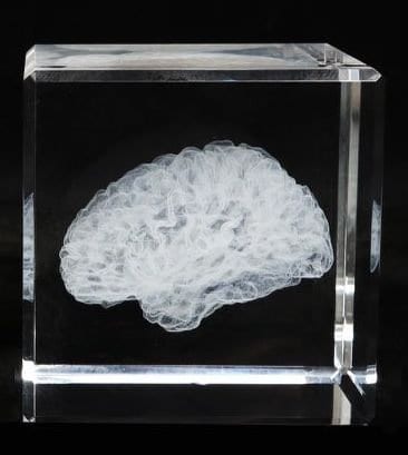 Human Brain Pial Surface (grey Matter) Crystal Paperweight - Etsy