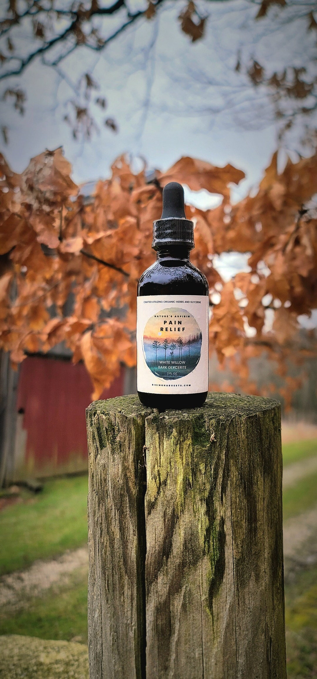 White Willow Bark Glycerite Tincture: Natural Aspirin, Headache Relief ...