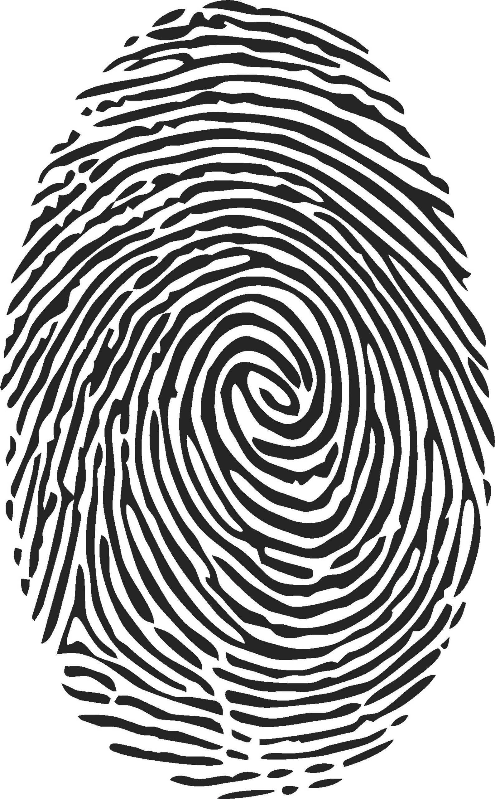Fingerprint Svg,fingerprint Clipart,biometric Svg,fingerprint Png,thumb ...