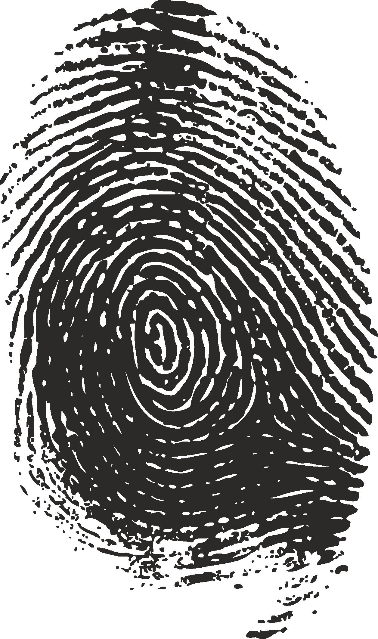 Fingerprint SVG Clipart: Biometric Thumb Print (digital Download) - Etsy